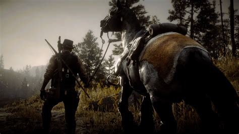Red Dead Redemption 2 виды