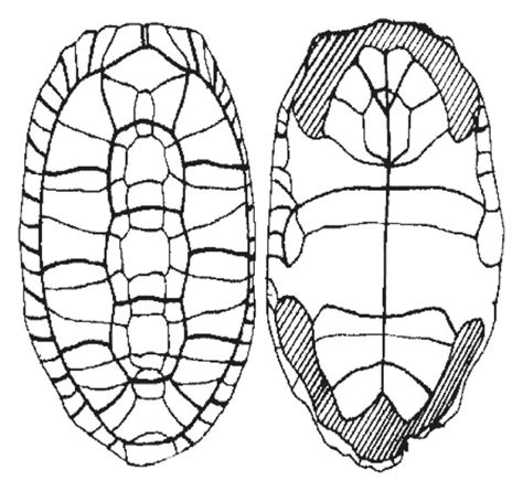 Retracted Fuzzy Algorithm Based Bionic Optimization Design Of Boring