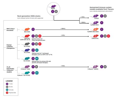 Next Generation Nog Models Taconic Biosciences