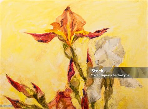 유행 봄 일러스트 비유 꽃 현대 미술 인상주의 내 원래 유화 캔버스 인상주의 수평 비유 상징적 인 삶은 흰색과 빨간색 창포를 꽃