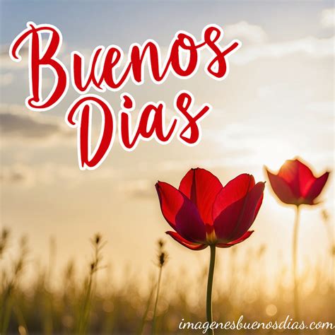 Imagenes De Buenos Dias Para Whatsapp 21 Imágenes Buenos Días