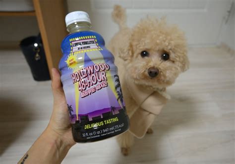 [올리브영추천템 클린쥬스] 그린몬스터 헐리우드48시간 이틀 단식해 본 후기 네이버 블로그