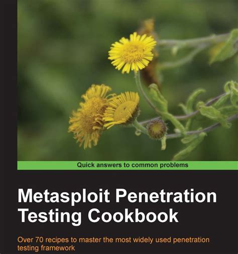 Felipe C On Linkedin Infosec Infosecurity Cybersec Pentesting Bugbounty Bugbountytips…