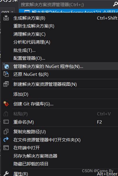 c winform窗体实现支付宝扫码支付 c 集成支付宝 应用类型 csdn博客