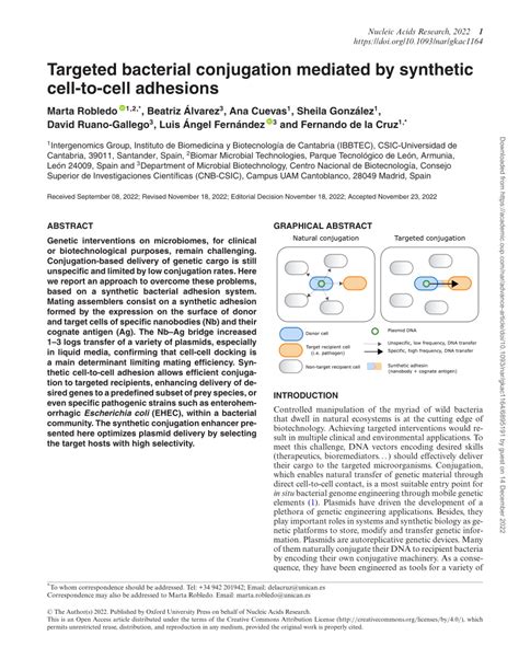 Pdf Targeted Bacterial Conjugation Mediated By Synthetic Cell To Cell