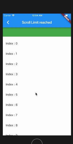 Flutter Create Expand Collapse Image When Scroll