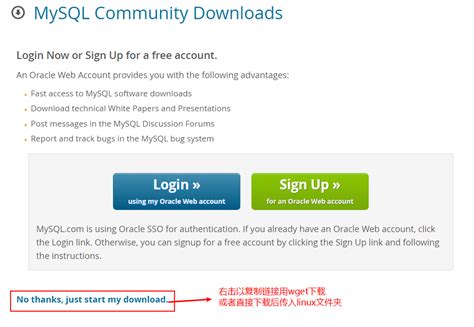 Linux上mysql的安装与配置,超全linux Mysql配置文件 Csdn博客 Linux上mysql的安装与配置,超全linux Mysql配置文件 Csdn博客