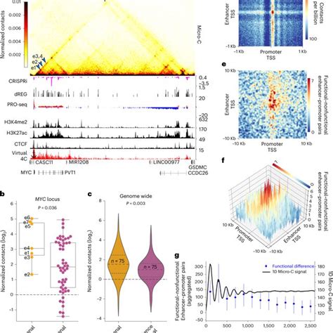 Enhancerpromoter Contacts Depend On Active Transcription A Schematic Download Scientific