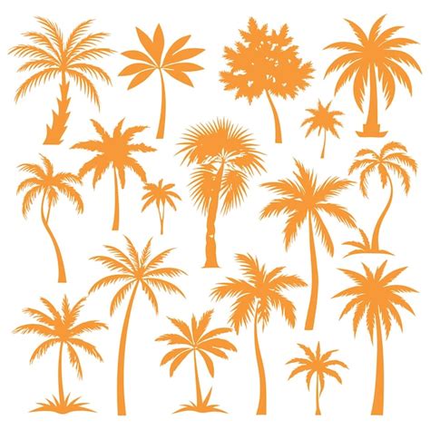 Premium Vector Plam Tree Set