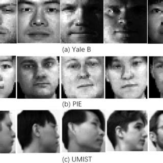 Face Image Examples Of Three Datasets Download Scientific Diagram