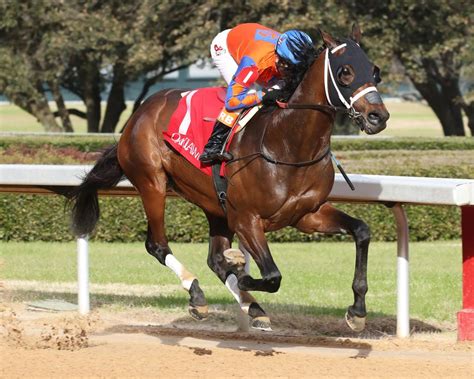 Speed Bias Finds Class Relief In Friday Allowance Past The Wire