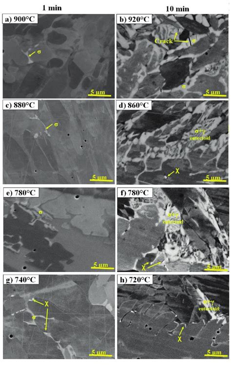 bse sem micrographs showing microstructure of 1 min and 10 min arc heat