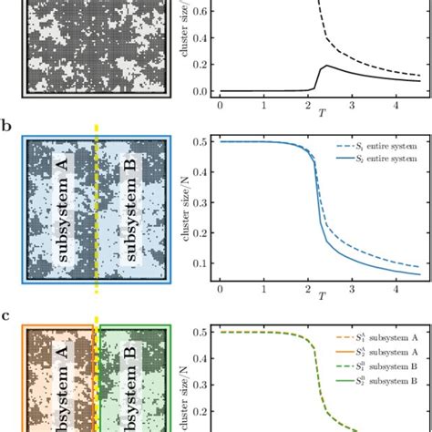 divided ising model temperature dependence of two largest cluster