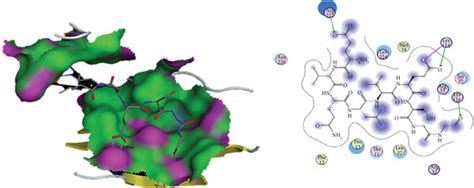 3d And 2d Docked Ligand Receptor Complexes Showing Inhibition Of