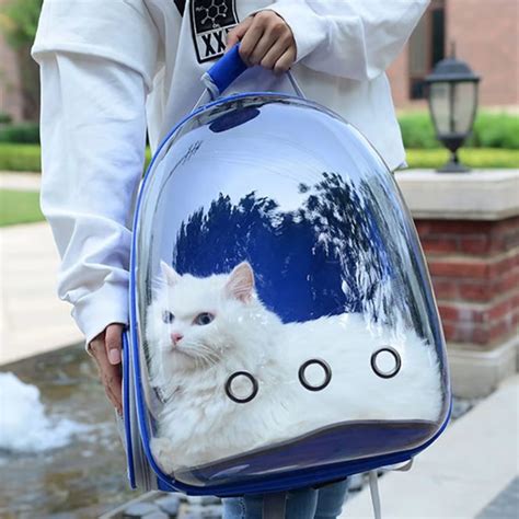 Bubble Backpack For Cats Clear See Through Cat Carrier Backpack