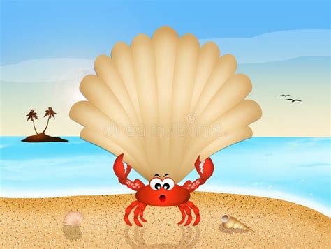 Crab With Shell Stock Illustration Illustration Of Life