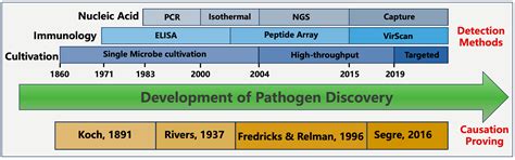 Pathogen Detection Methods Encyclopedia Mdpi