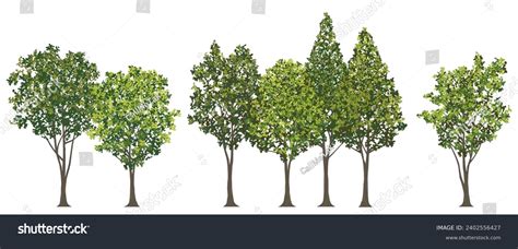 나무 가로수 2 087개가 넘는 로열티 프리 라이선스 대상 스톡 벡터 및 벡터 아트 Shutterstock