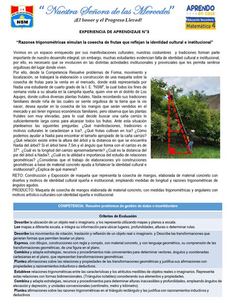 Sesión 7 Eda 3 Matemática Descargar Gratis Pdf Sistema De Coordenadas Cartesianas Rotación