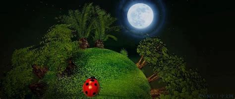 【已复现】apache Tomcat 远程代码执行漏洞cve 2024 50379安全风险通告 Cn Sec 中文网