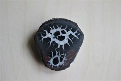 A Fun Guide To Septarian Nodules What They Are And Where To Find Them Rock Seeker