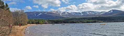 Walks Around Aviemore Scotland Info Guide