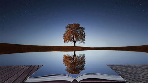 The Cognitive Behaviour Triangle A Mirror For Coaching Awareness