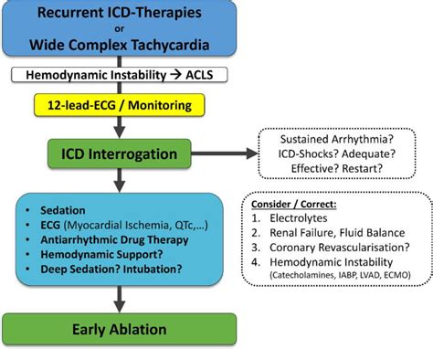 Expert Consensus On Acute Management Of Ventricular Arrhythmias Vt