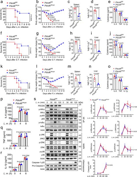Pdcd6 Regulates Lactate Metabolism To Modulate Lc3 Associated Phagocytosis And Antibacterial