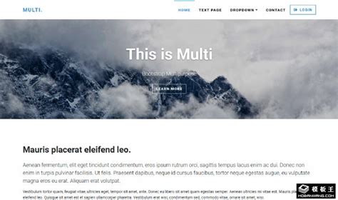 简约时尚多用途网站模板 html 模板王