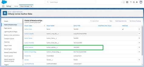 creating url field data types in salesforce object