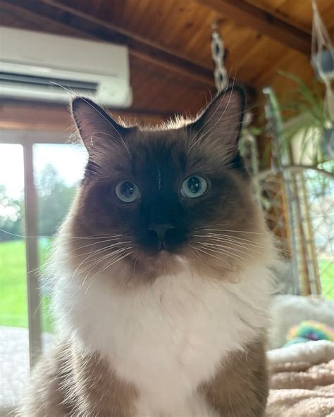 Marlene Apuzzo Portnoy Marleneapuzzoportnoy • Instagram Photos And