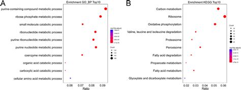 functional enrichment analysis of all the proteins containing