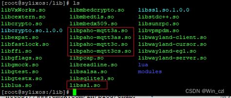 Sylixos 系统 Mqtt中间件移植libpaho Csdn博客