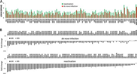 Genome Wide Analysis Of Kshv Transcripts By Rna Deep Sequencing A Download Scientific