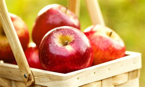 Яке свято 19 серпня 2023 року що не можна робити на Яблучний Спас та як зрозуміти якою буде