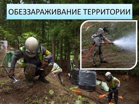 Средства специальной обработки. Порядок проведения частичной и полной ...