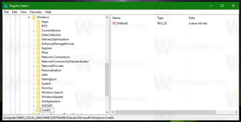 Disable Password Reveal Button In Windows