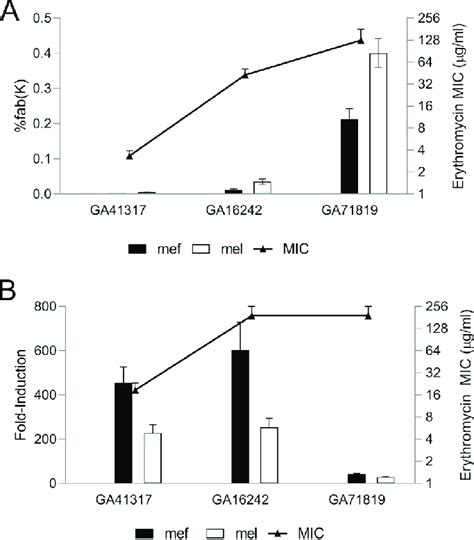 Mef E And Mel Expression Levels Correlate With Erythromycin Mic Download Scientific Diagram