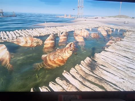 143 days in... : r/strandeddeep