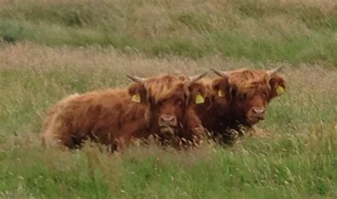 28 Jul 2017 Walk · Listen · Create