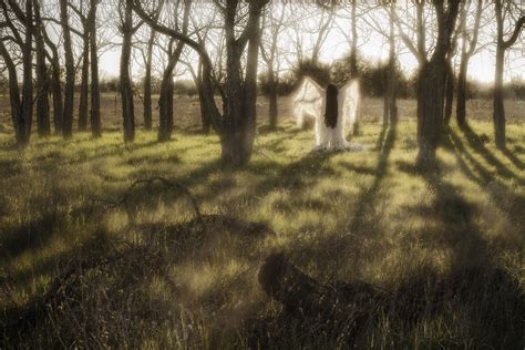 Tree Nymph HKnudsen Photography