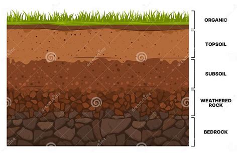 Soil Layer Infographics Earth Subsoil Texture Stock Vector Illustration Of Formation Diagram