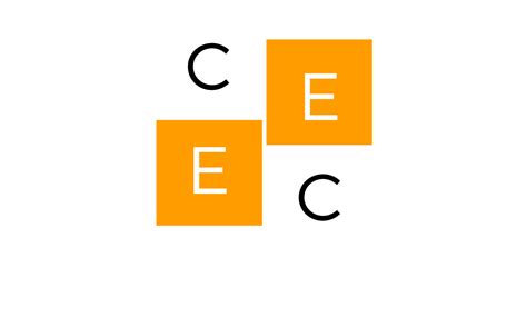 Creating The Perfect Ball Python Habitat Tank Setup Tips Compound Exotics