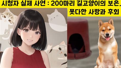 시청자 실제 사연 길고양이 200마리 영혼의 보은 반려견에게 못다한 사랑과 후회 Youtube