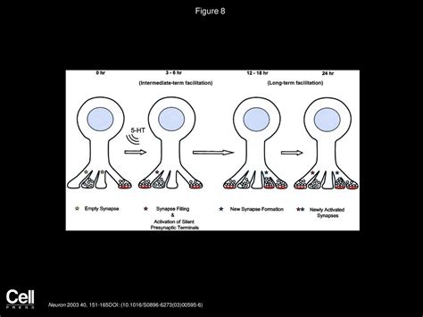 volume 40 issue 1 pages september 2003 ppt download