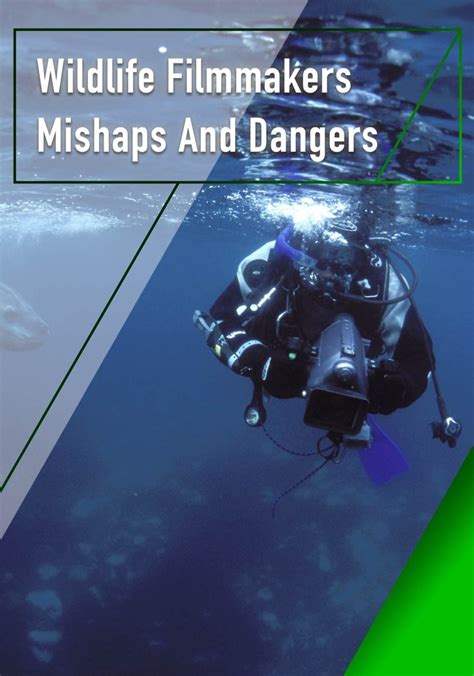 Wildlife Filmmakers Mishaps And Dangers Streaming