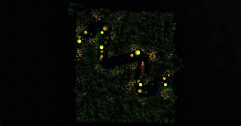 Oc Underdark River And Jungle Maps Work In Progress Any Suggestions