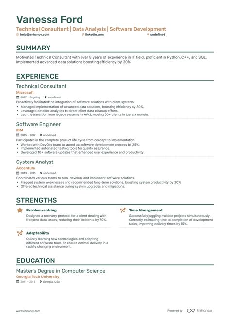 Technical Consultant Resume Examples Guide For