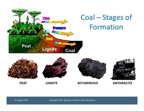 How Coal Forms The Geological Process Explained